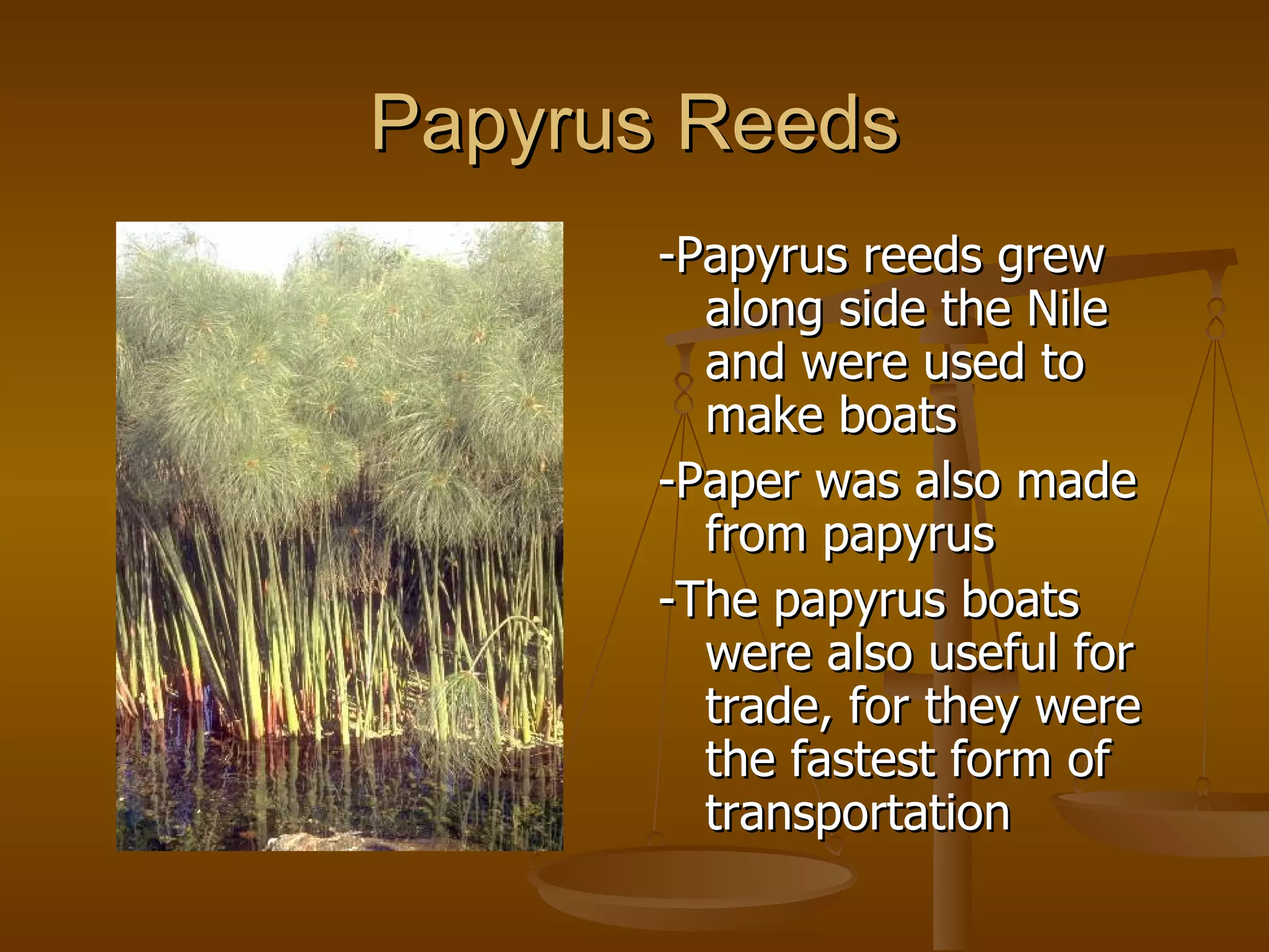 The Nile River | PPT