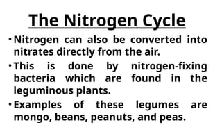 The-Nitrogen-Cycle-A-Fundamental-Process-for-Life.pptx