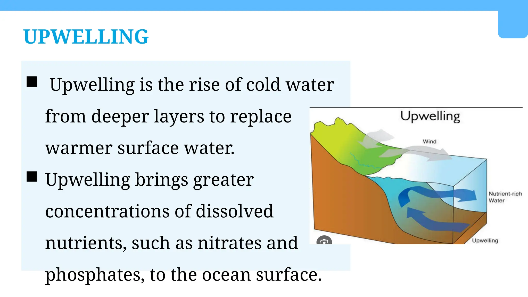 The-Ocean-Floor-Ocean-Water-and-Ocean-Life.pptx