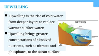 The-Ocean-Floor-Ocean-Water-and-Ocean-Life.pptx | Geography | Science