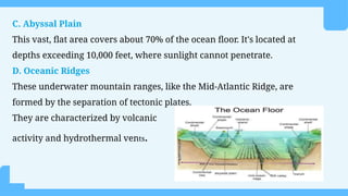 The-Ocean-Floor-Ocean-Water-and-Ocean-Life.pptx | Geography | Science