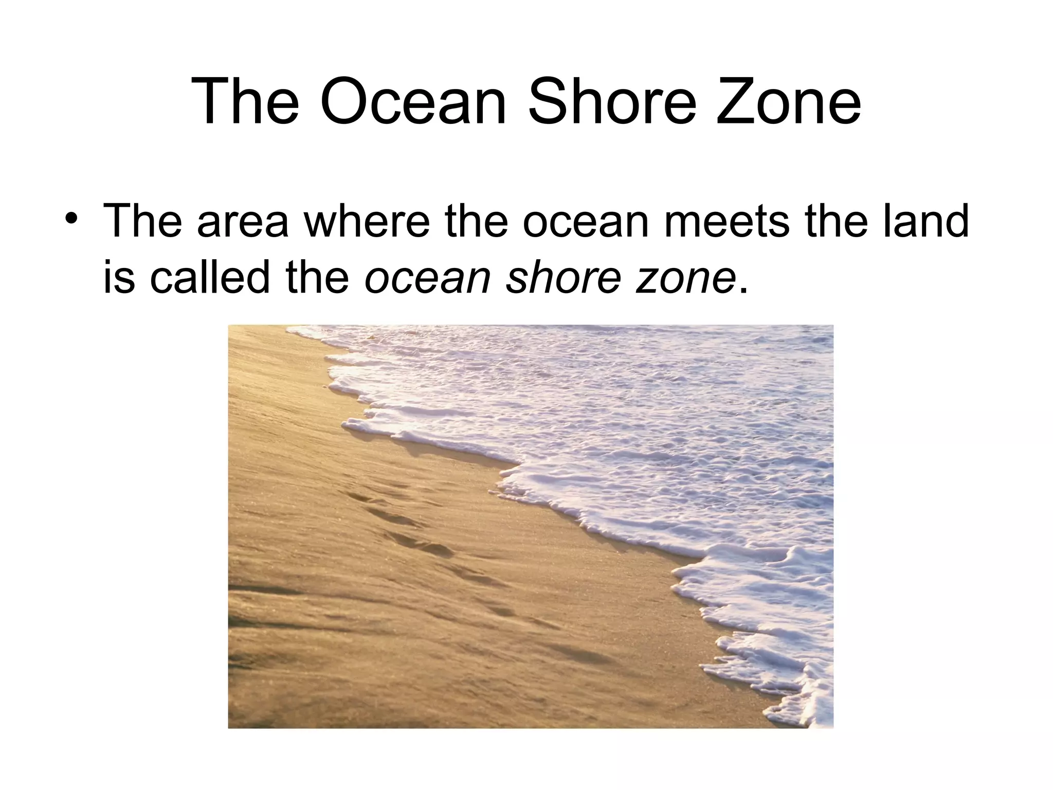 The Ocean Shore Zone | PPT | Geography | Science