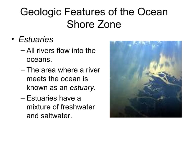 The Ocean Shore Zone | PPT | Geography | Science