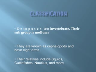The Octopus | PPT