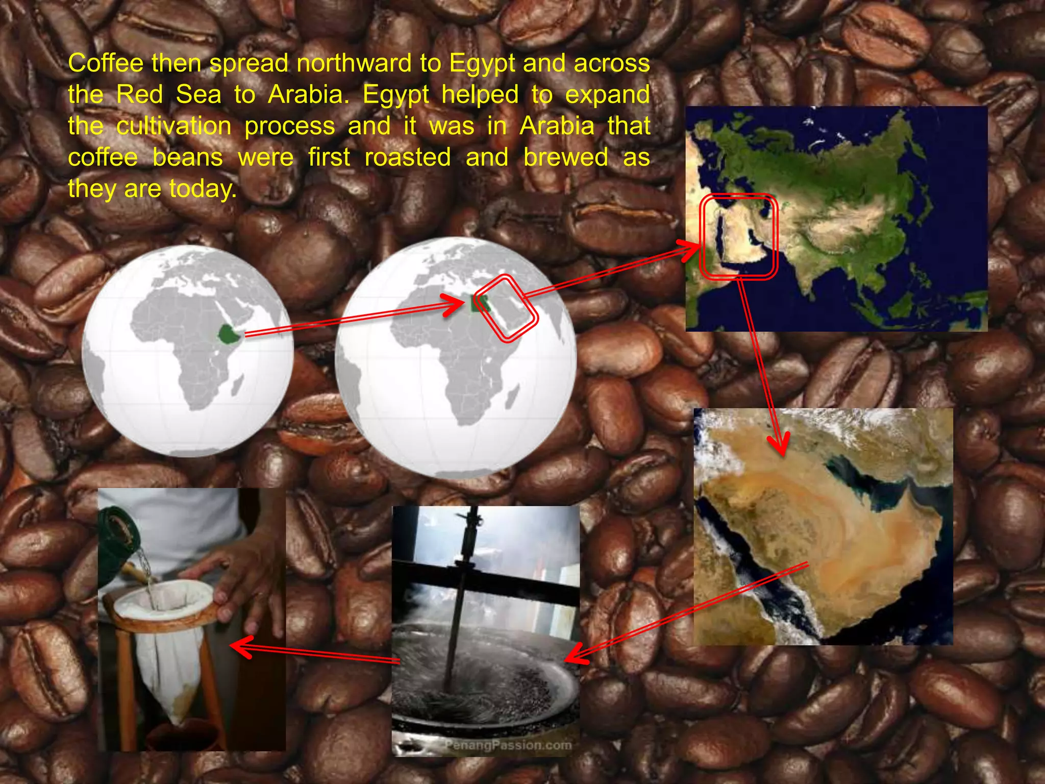 The Origin Of Coffee | PPTX