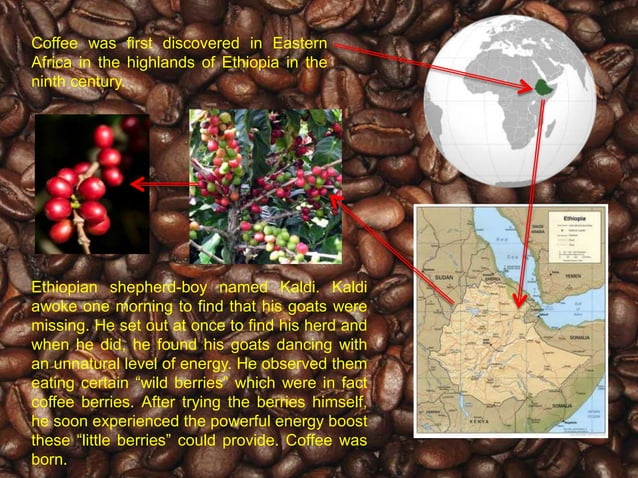 The Origin Of Coffee | PPTX | Food & Drink