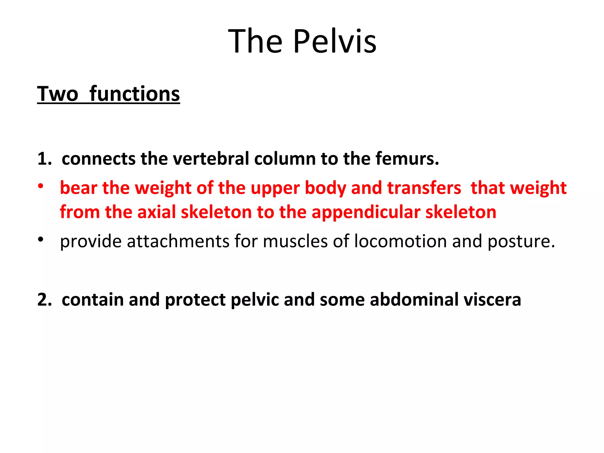The Pelvis - Bones and Joints | PPT