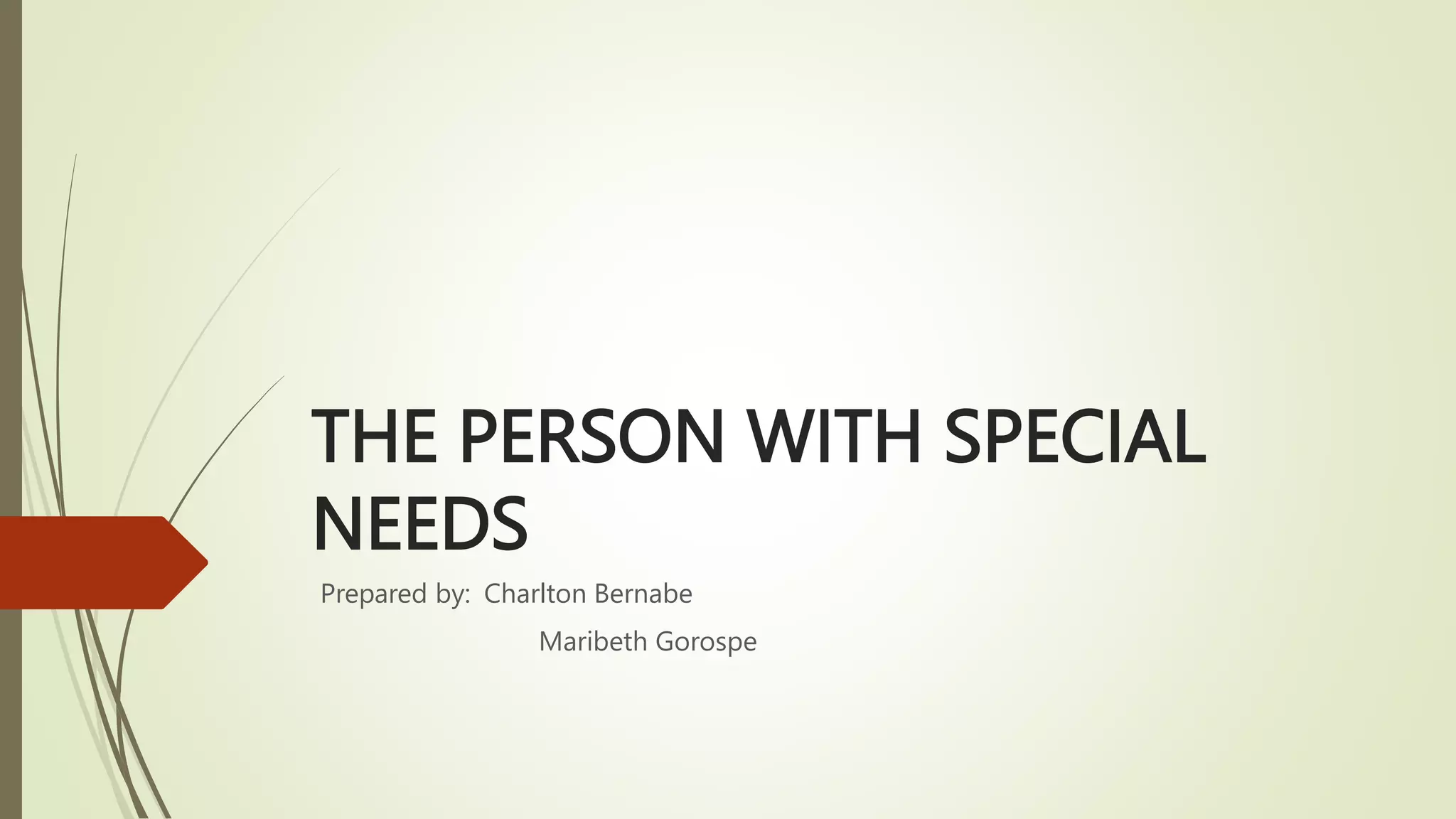 THE-PERSON-WITH-SPECIAL-NEEDS.pptx
