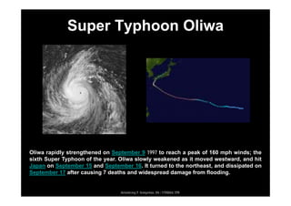 Typhoon Definition