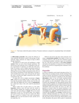 The-Plant-Cell.pdf........................ | PDF