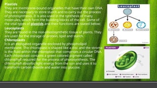 THE-PLANT-CELL functions and parts .pptx