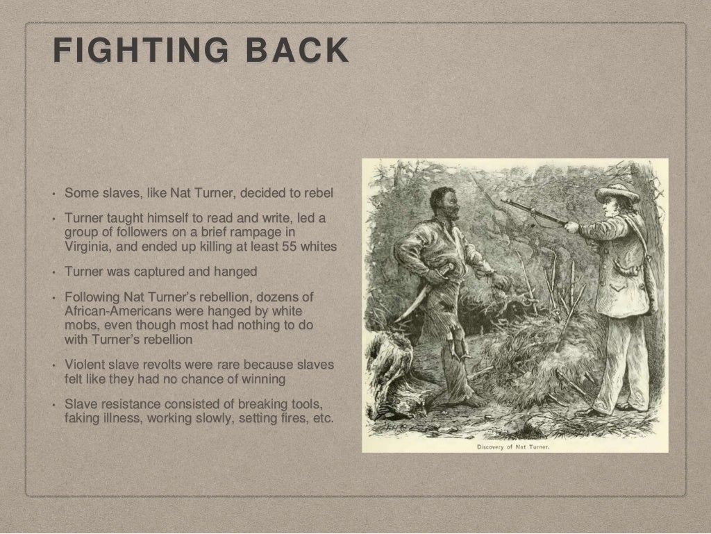 The pre civil war south ppt