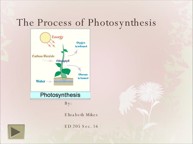 Process of Photosynthesis | PPT
