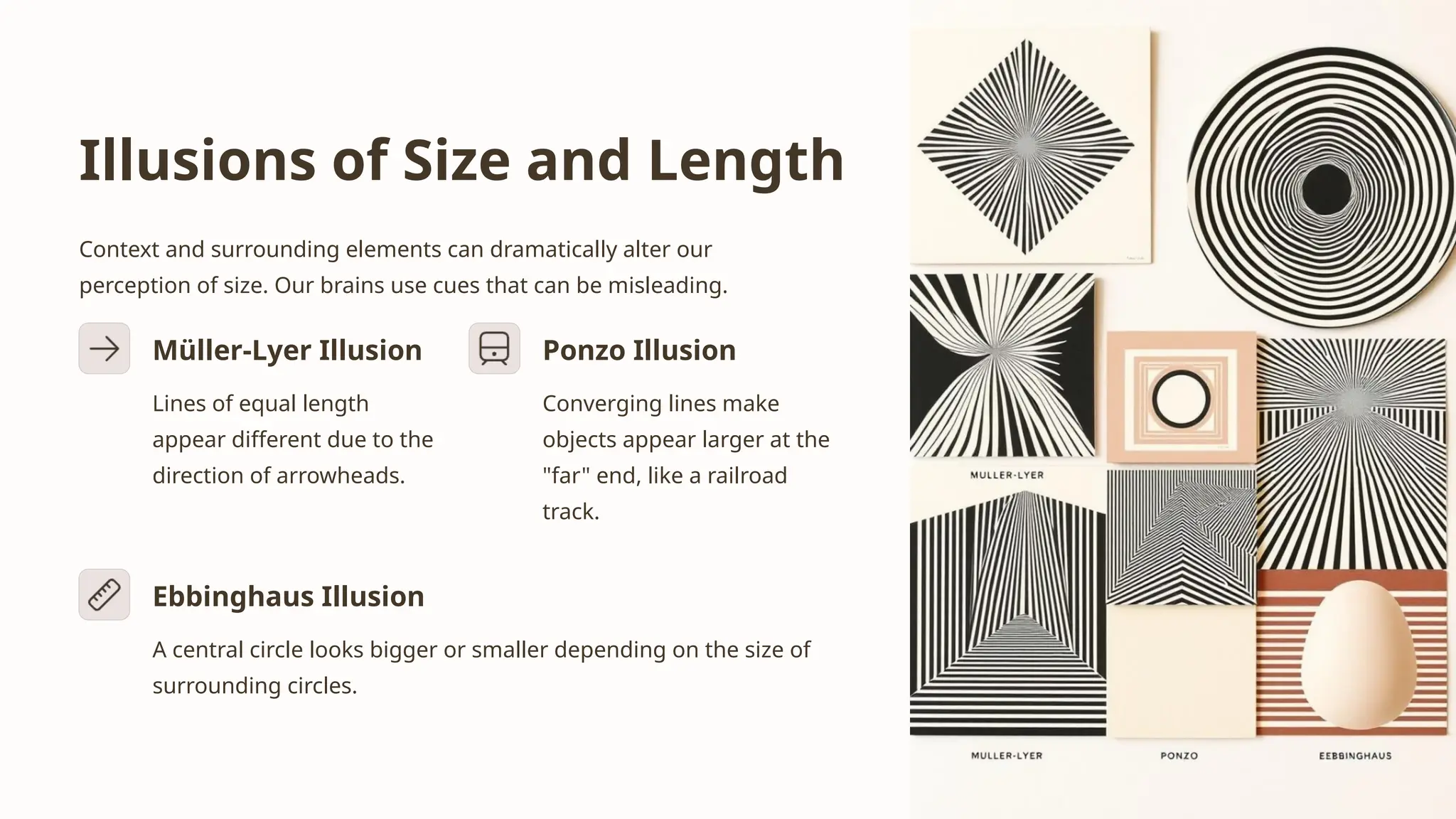 The-Psychology-of-Optical-Illusions.pptx