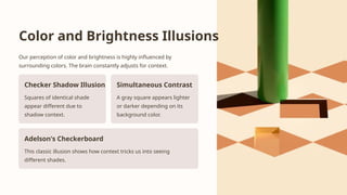 The-Psychology-of-Optical-Illusions.pptx