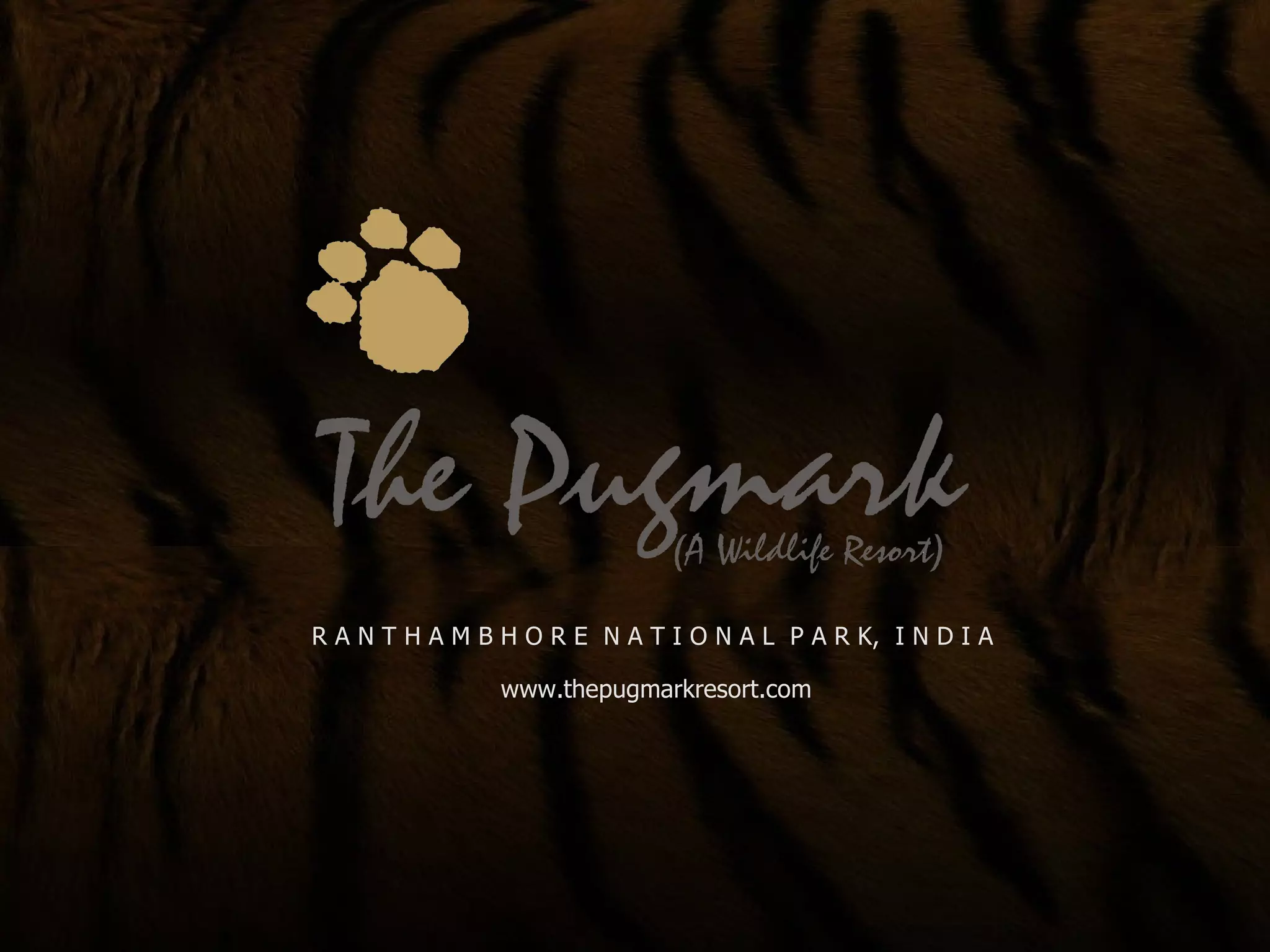 The Pugmark | PPS | Rail Travel | Travel Type