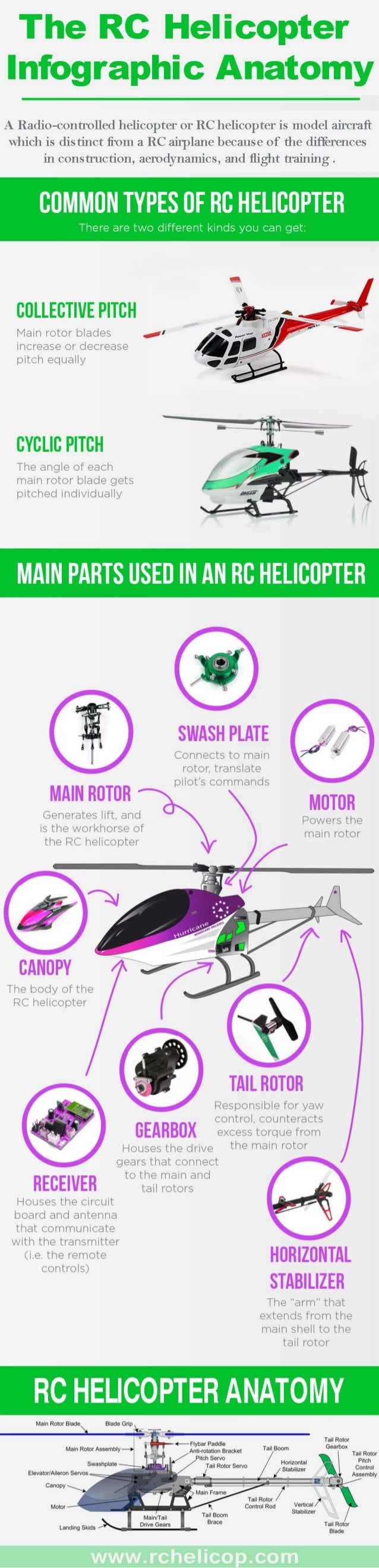 The Best RC Helicopter Infographic Anatomy
