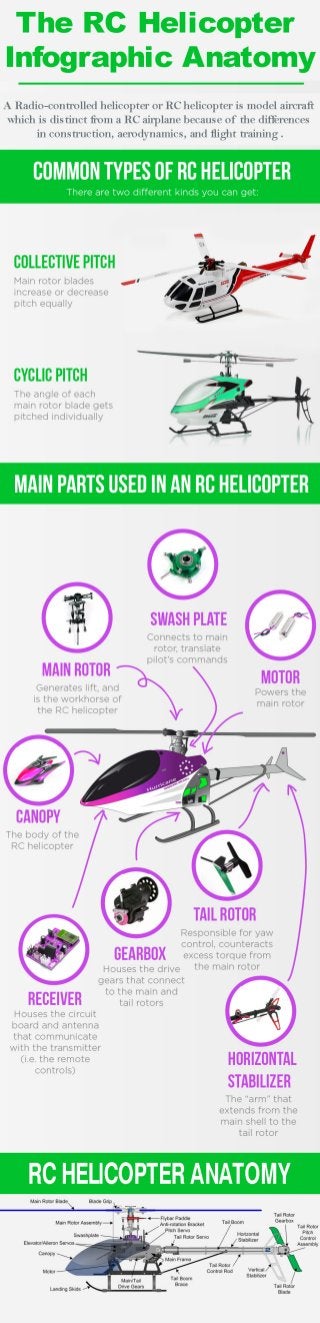 The RC Helicopter Infographic Anatomy