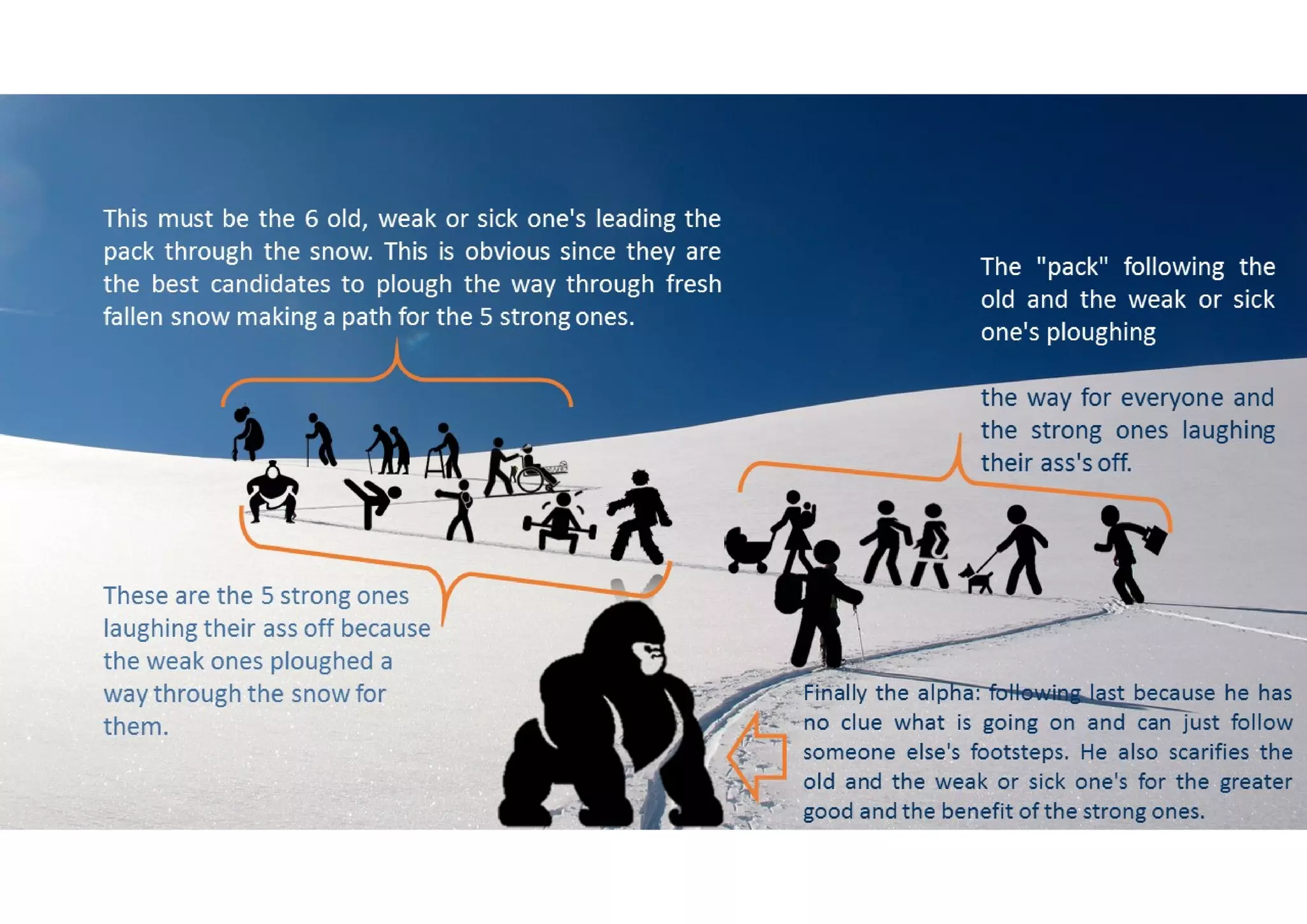 The real- wolfpack story 2 | PPT