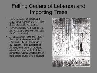 The Reign Of King Solomon | PPT