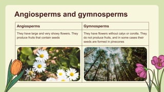 the-reproductive-function-in-plants.pptx