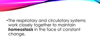 The-Respiratory-and-Circulatory-systems-working-together.pdf