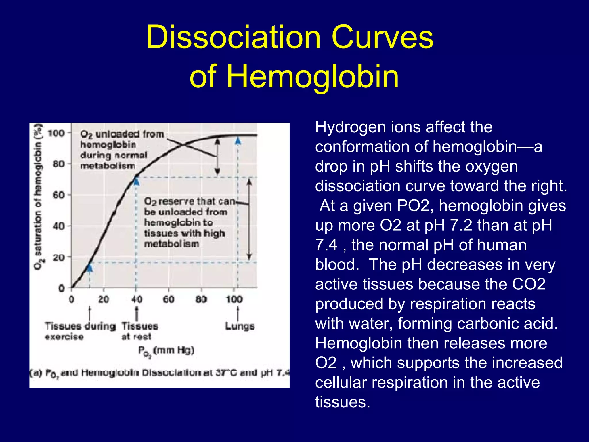The Respiratory System | PPT