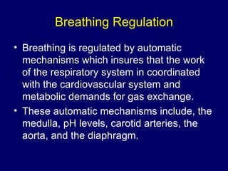 The Respiratory System | PPT