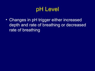 The Respiratory System | PPT