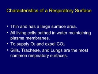 The Respiratory System | PPT