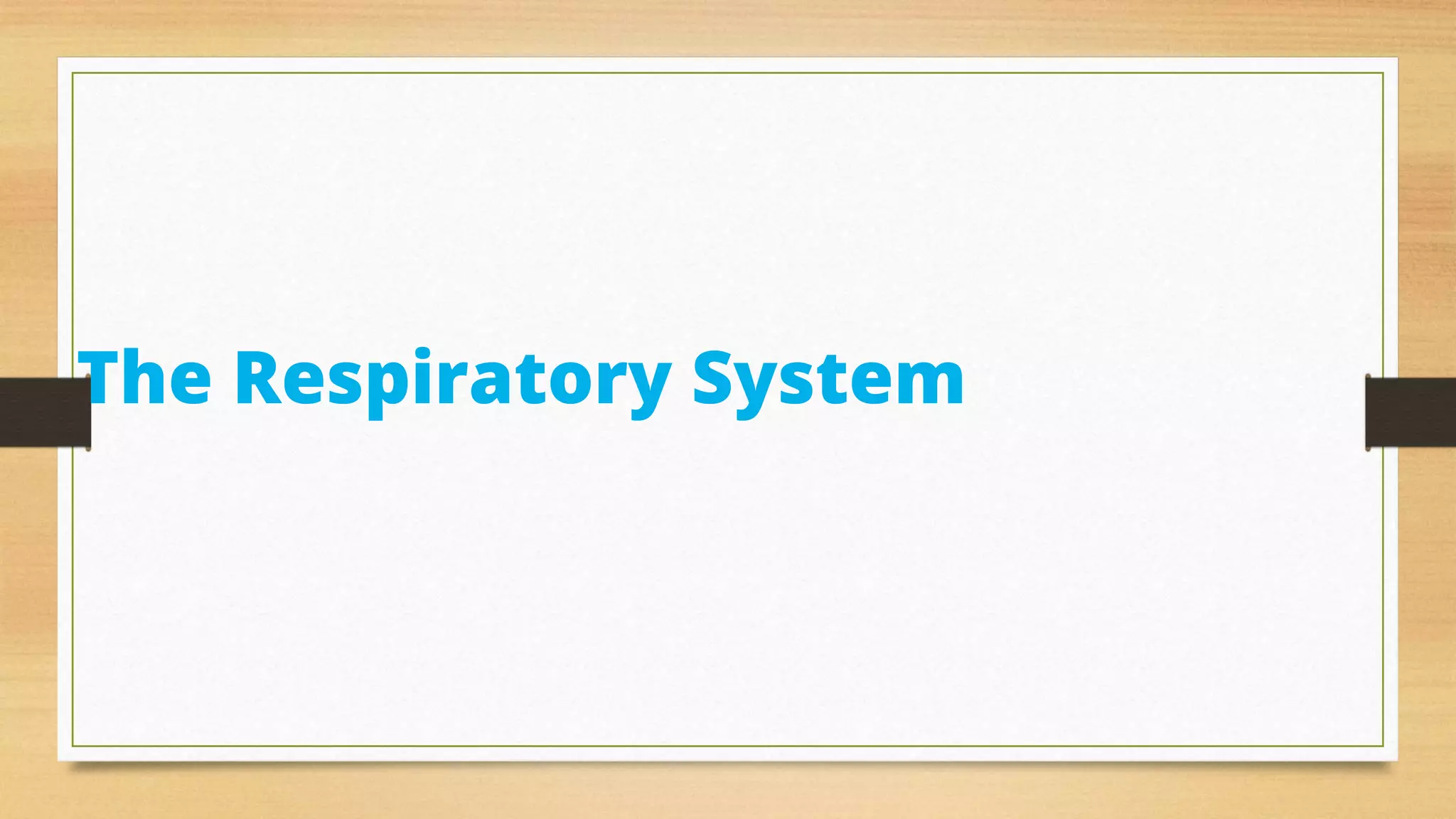 The-Respiratory-System.pptx