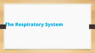The-Respiratory-System.pptx