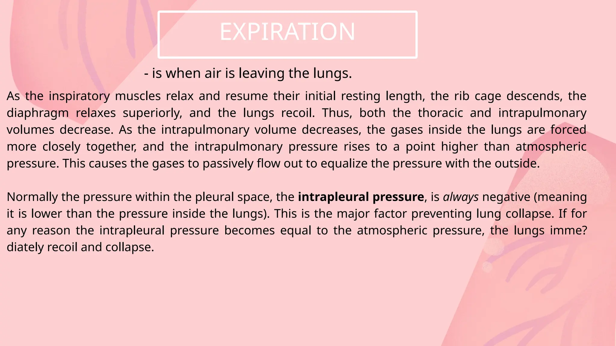The-Respiratory-System.pptx anaphy subject | PPTX