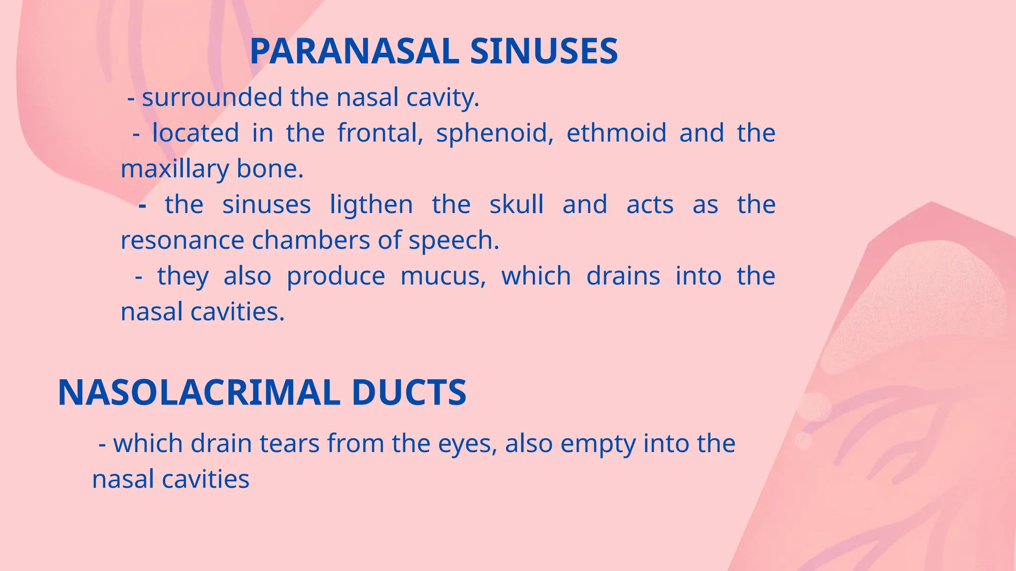 The-Respiratory-System.pptx anaphy subject | PPTX