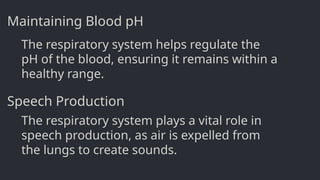 The-Respiratory-System-An-Essential-Function.pptx