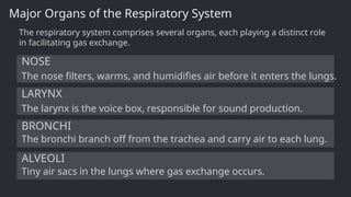 The-Respiratory-System-An-Essential-Function.pptx