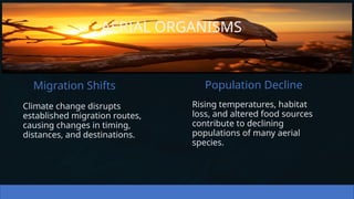 Effects of Climate Change and its Impacts.pptx