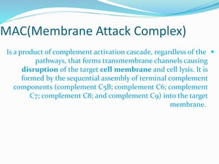 The role of complement system in acute inflamation | PPT