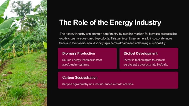The-Role-of-Industries-in-Promoting-Agroforestry.pptx