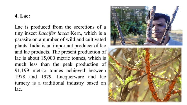 The-Role-of-Industries-in-Promoting-Agroforestry.pptx