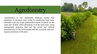 The-Role-of-Industries-in-Promoting-Agroforestry.pptx