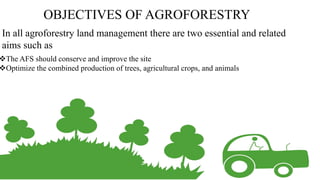 The-Role-of-Industries-in-Promoting-Agroforestry.pptx