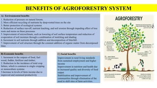 The-Role-of-Industries-in-Promoting-Agroforestry.pptx