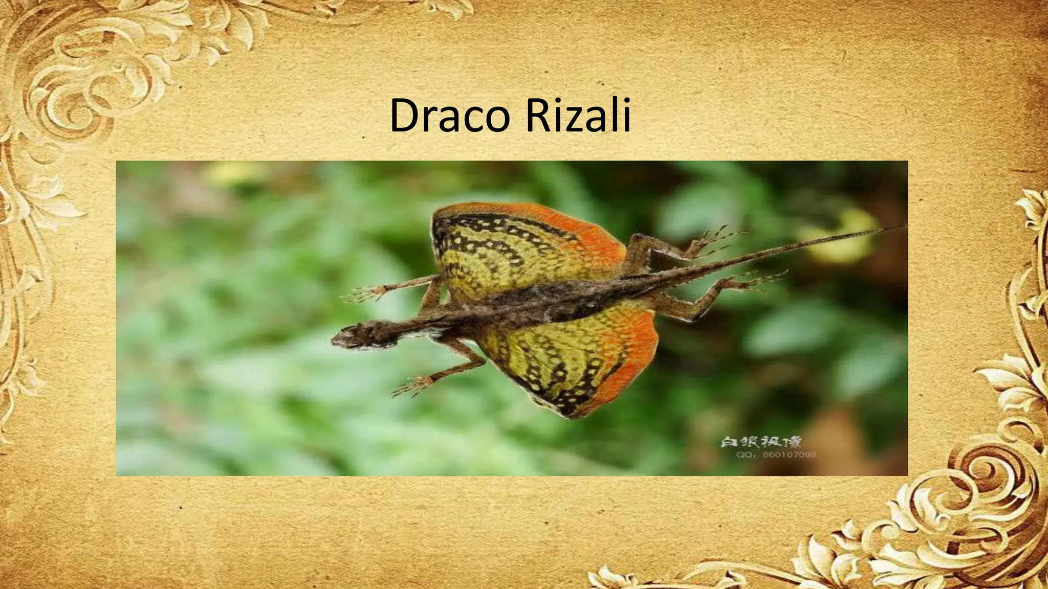 THE-ROLE-OF-SCIENCE-according to Rizal.pptx