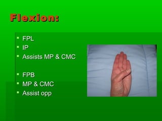 Hand Therapy - The Rule Of Thumb | PPT