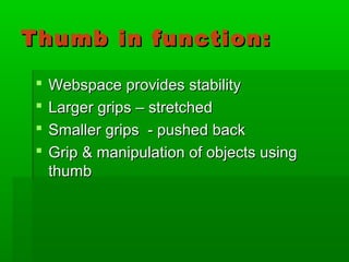 Hand Therapy - The Rule Of Thumb | PPT