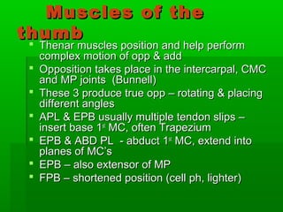 Hand Therapy - The Rule Of Thumb | PPT