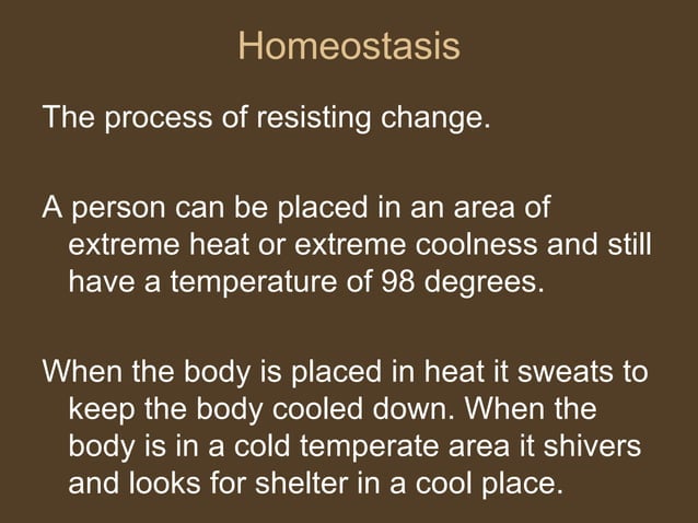 The Sahara Desert | PPT