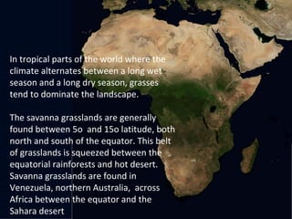 The Savanna Ecosystem | PPT