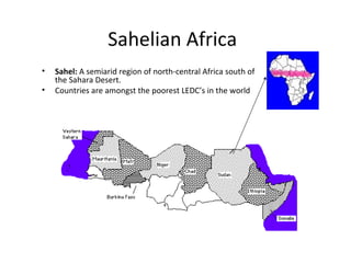 The Savanna Ecosystem | PPT